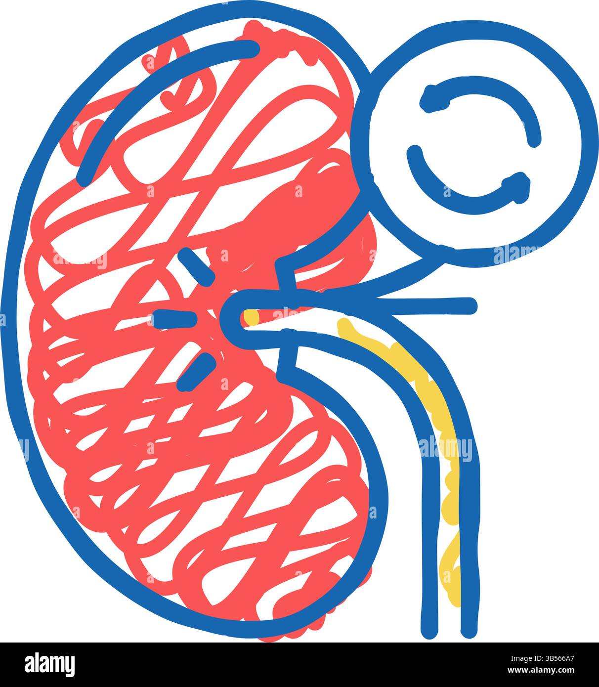 kidney transplant icon doodle illustration Stock Vector Image & Art - Alamy