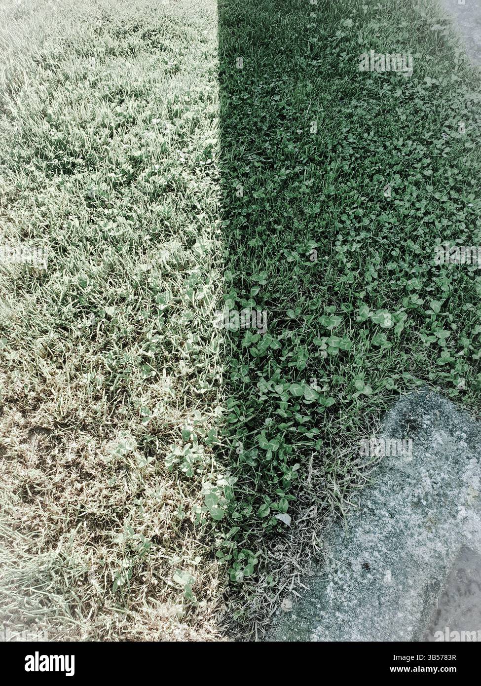 Two different sides of green lawn Stock Photo - Alamy