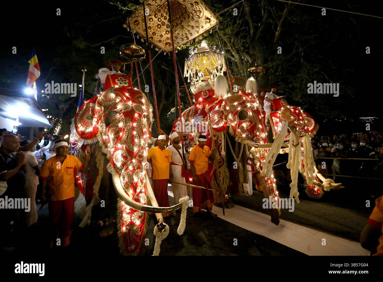 Aug 12, 2022 - Kandy, Central, Sri Lanka - Dalada Maligawa Tusker ...