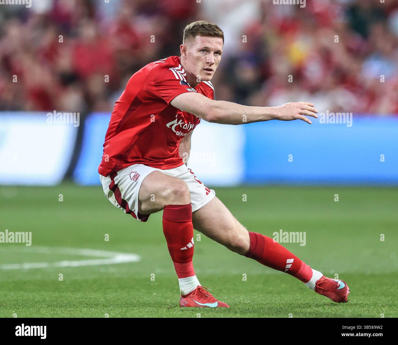 Elliot anderson forest hi-res stock photography and images - Alamy