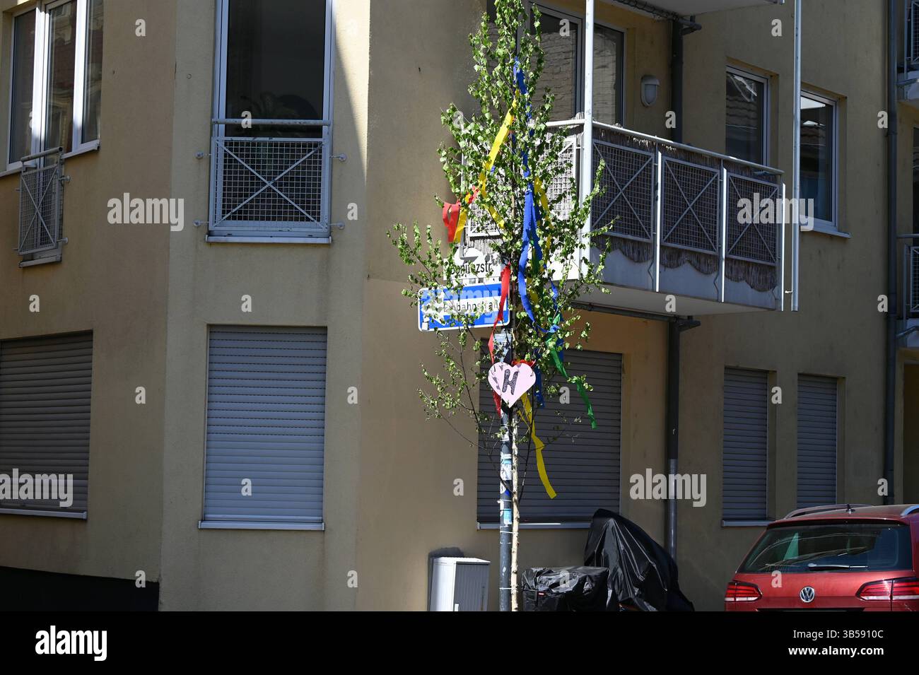 Maibaum steht vor einem Haus - ein mit bunten Bändern geschmückter Baum ...