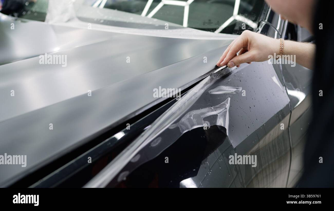 Professional wrapping car hood with vinyl film. Professional mechanic ...