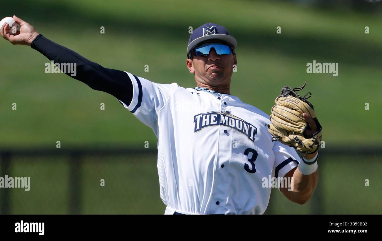 Mount St. Mary's infielder Alex Mendes (3) during an NCAA baseball game ...