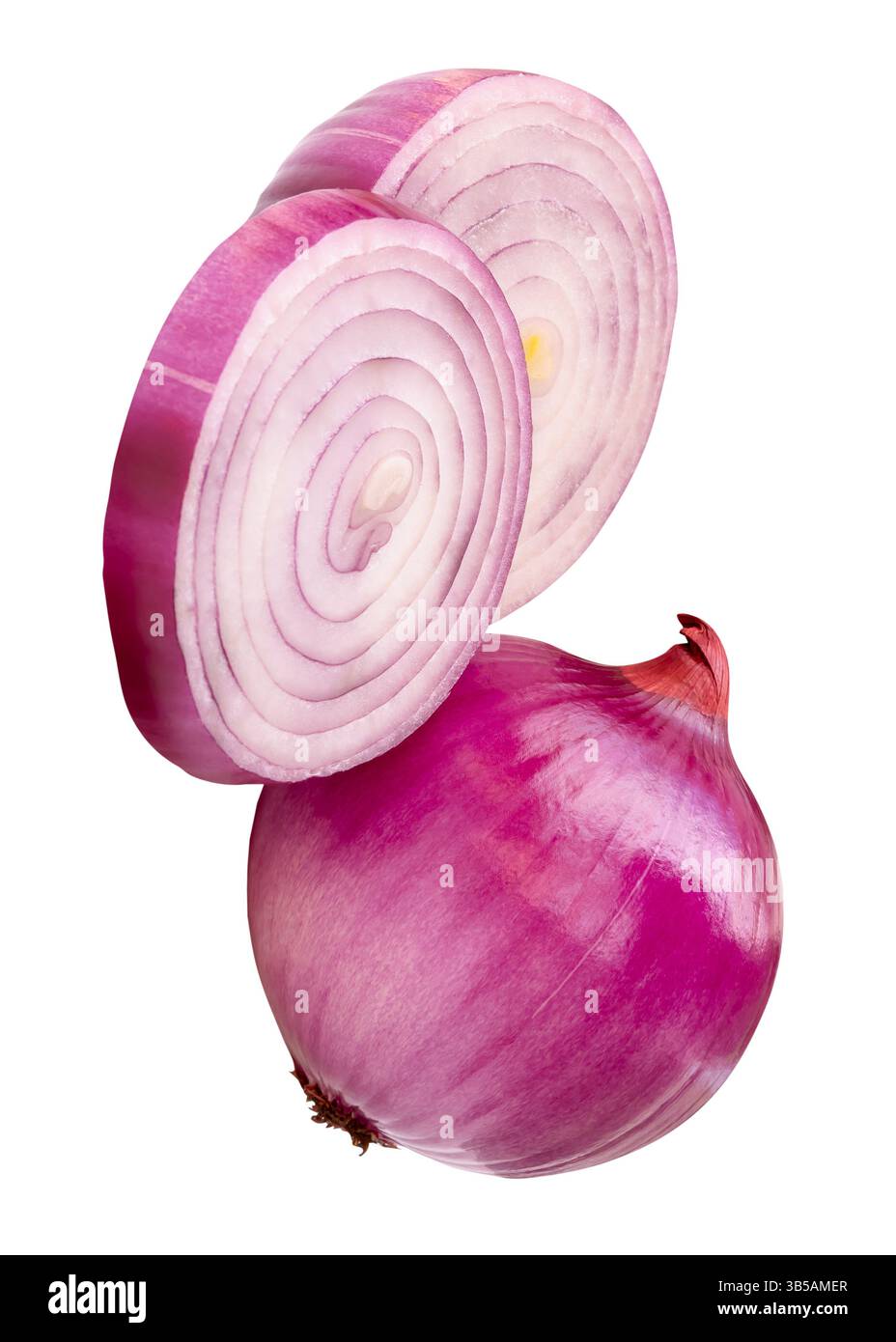 Single fresh peeled red or purple Spanish onion bulb with two onion ...