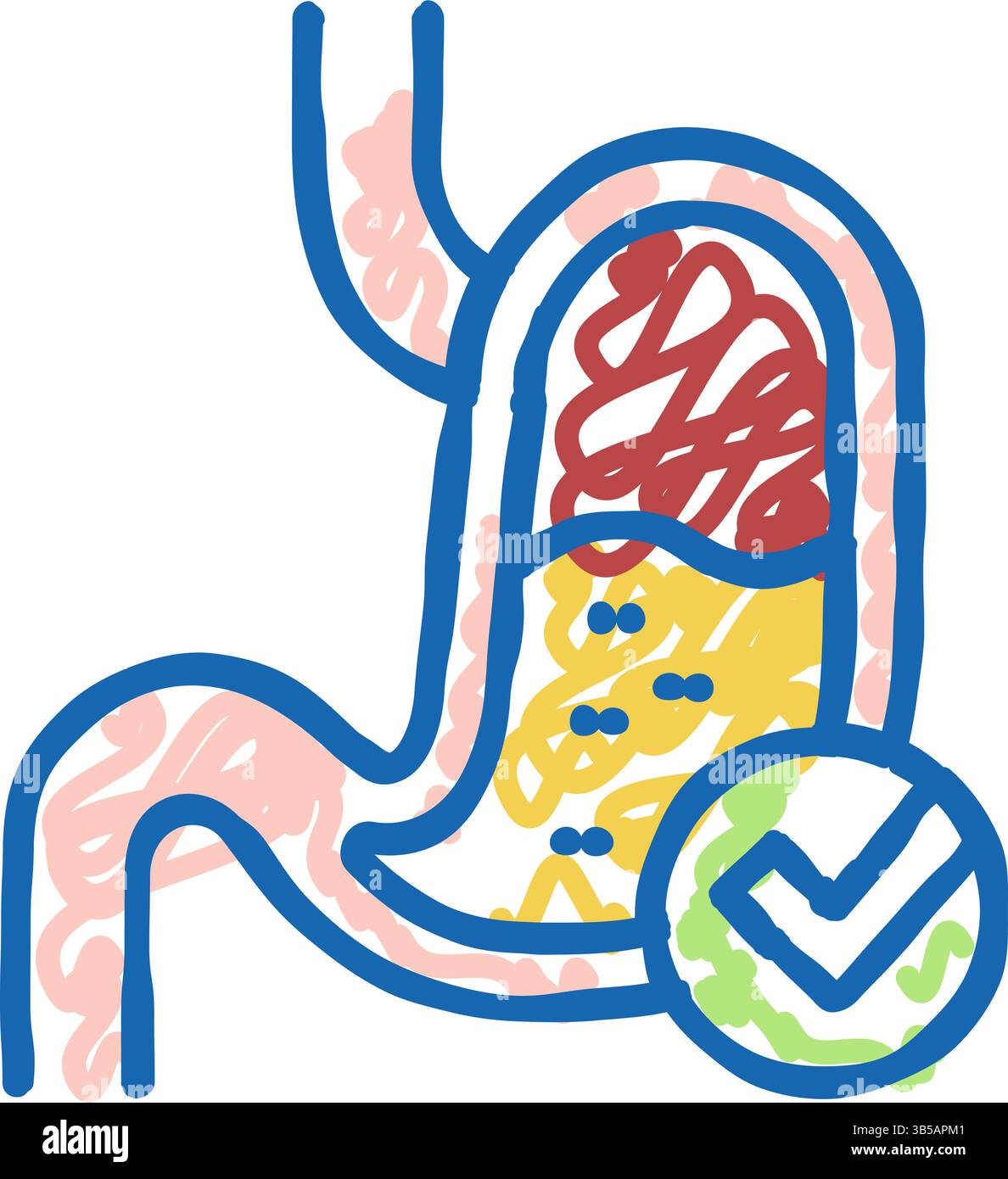 normal workin digestion system icon doodle illustration Stock Vector ...