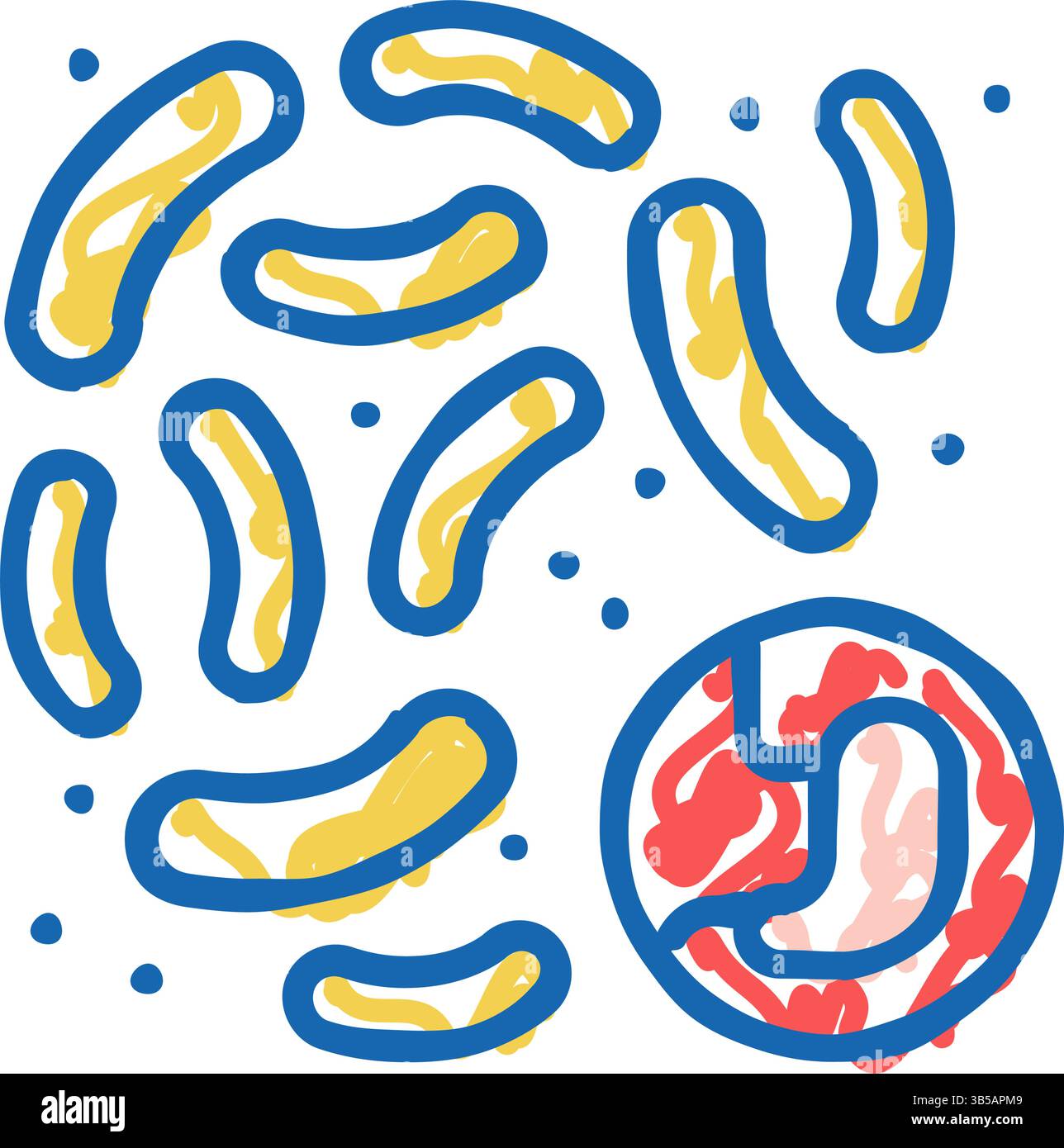 bacteria or fungus of digestion system icon doodle illustration Stock ...
