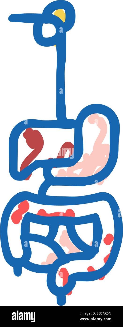 digestive system icon doodle illustration Stock Vector Image & Art - Alamy