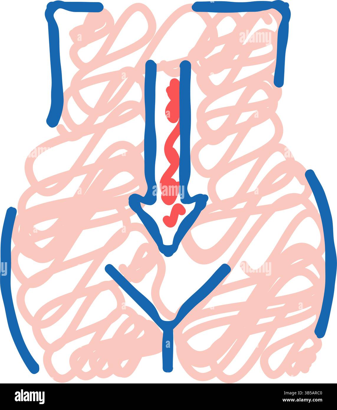 digestion system icon doodle illustration Stock Vector Image & Art - Alamy