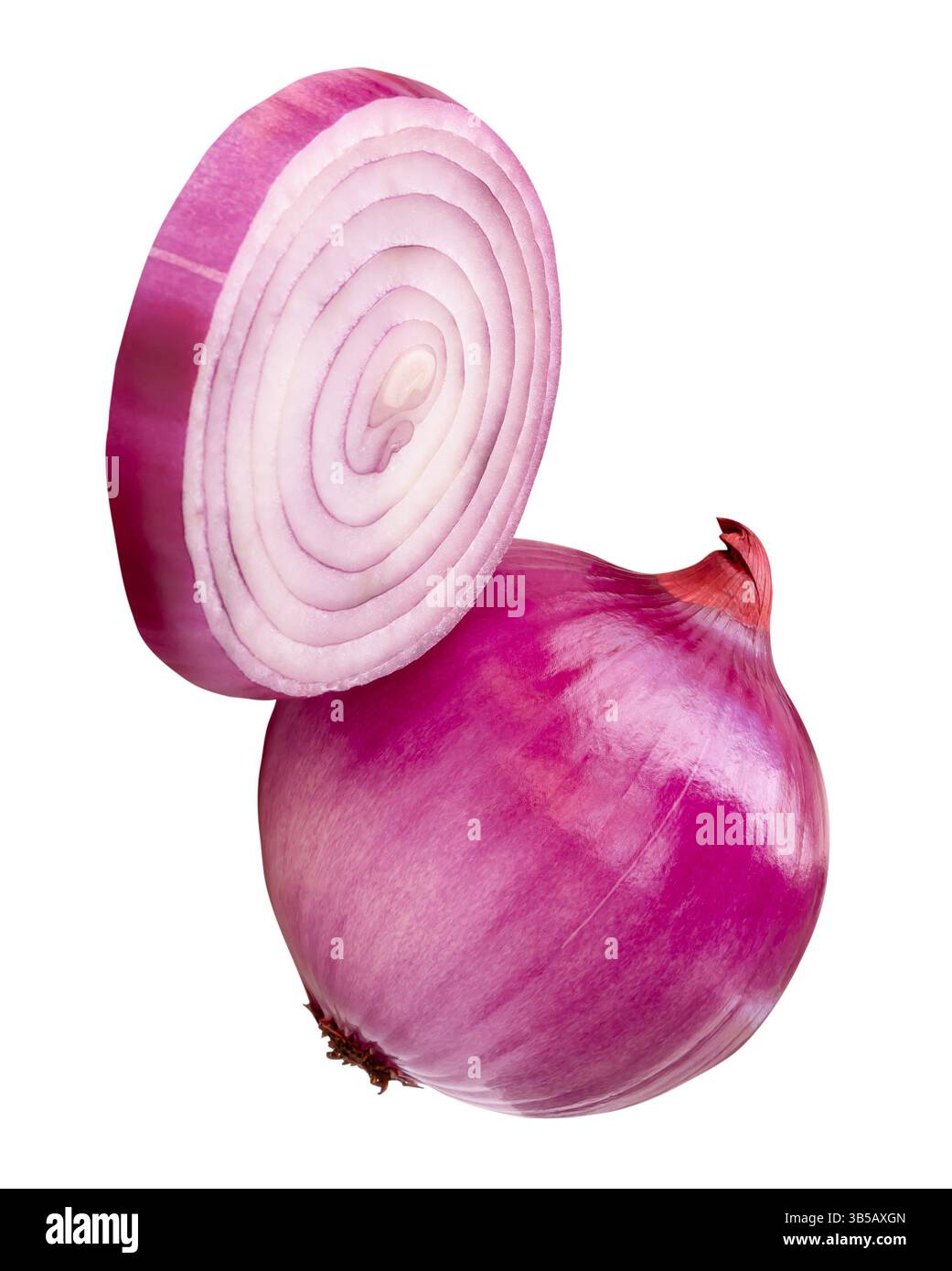 Single fresh peeled red or purple Spanish onion bulb with one onion ...