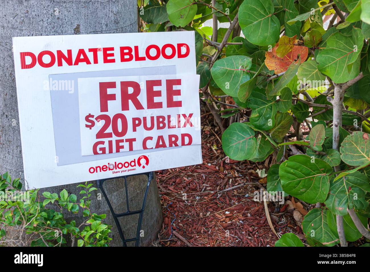 Community charity grocery store usa hi-res stock photography and images ...