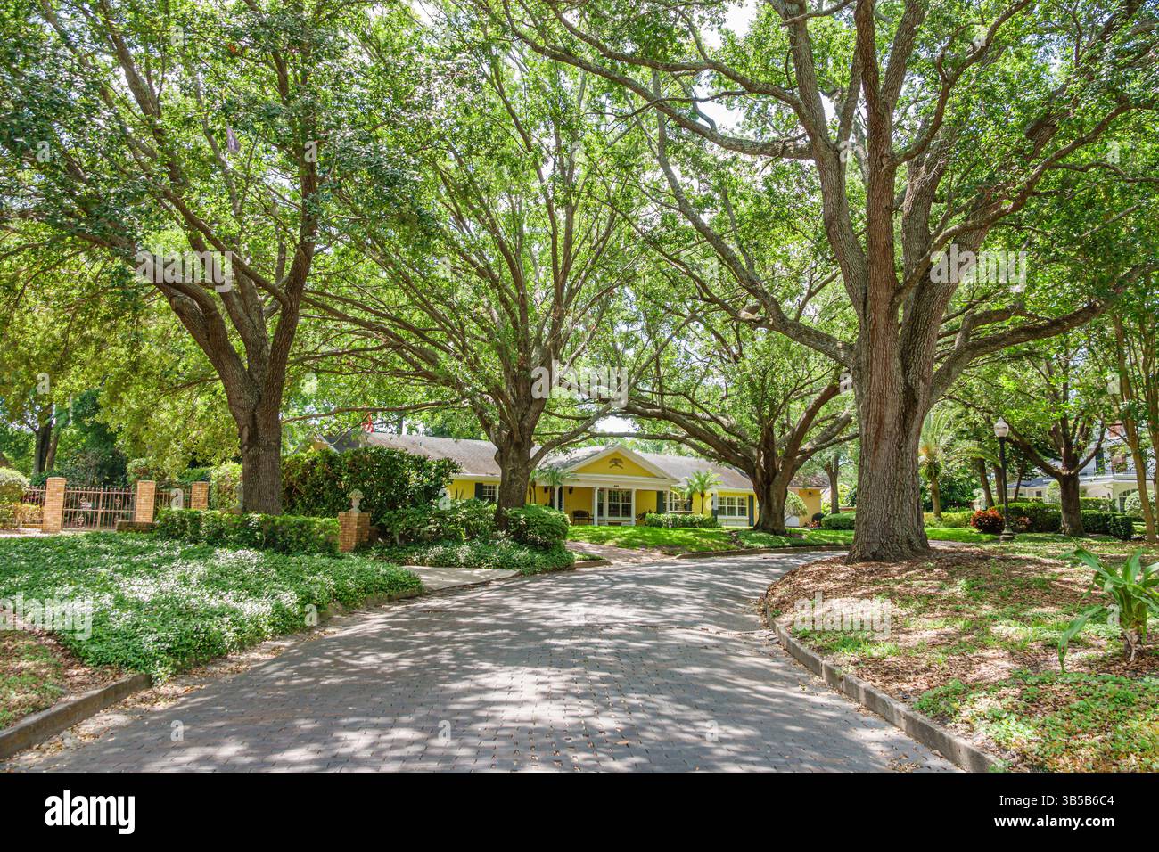 Orlando Florida,College Park neighborhood,Ivanhoe Plaza Park,canopy of ...