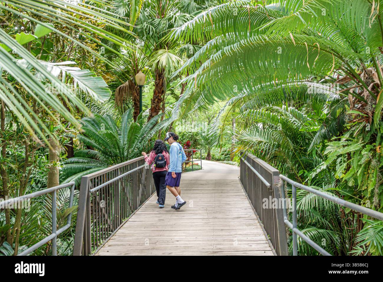 Orlando Florida,Harry P Leu Gardens,botanical garden,tropical palm ...