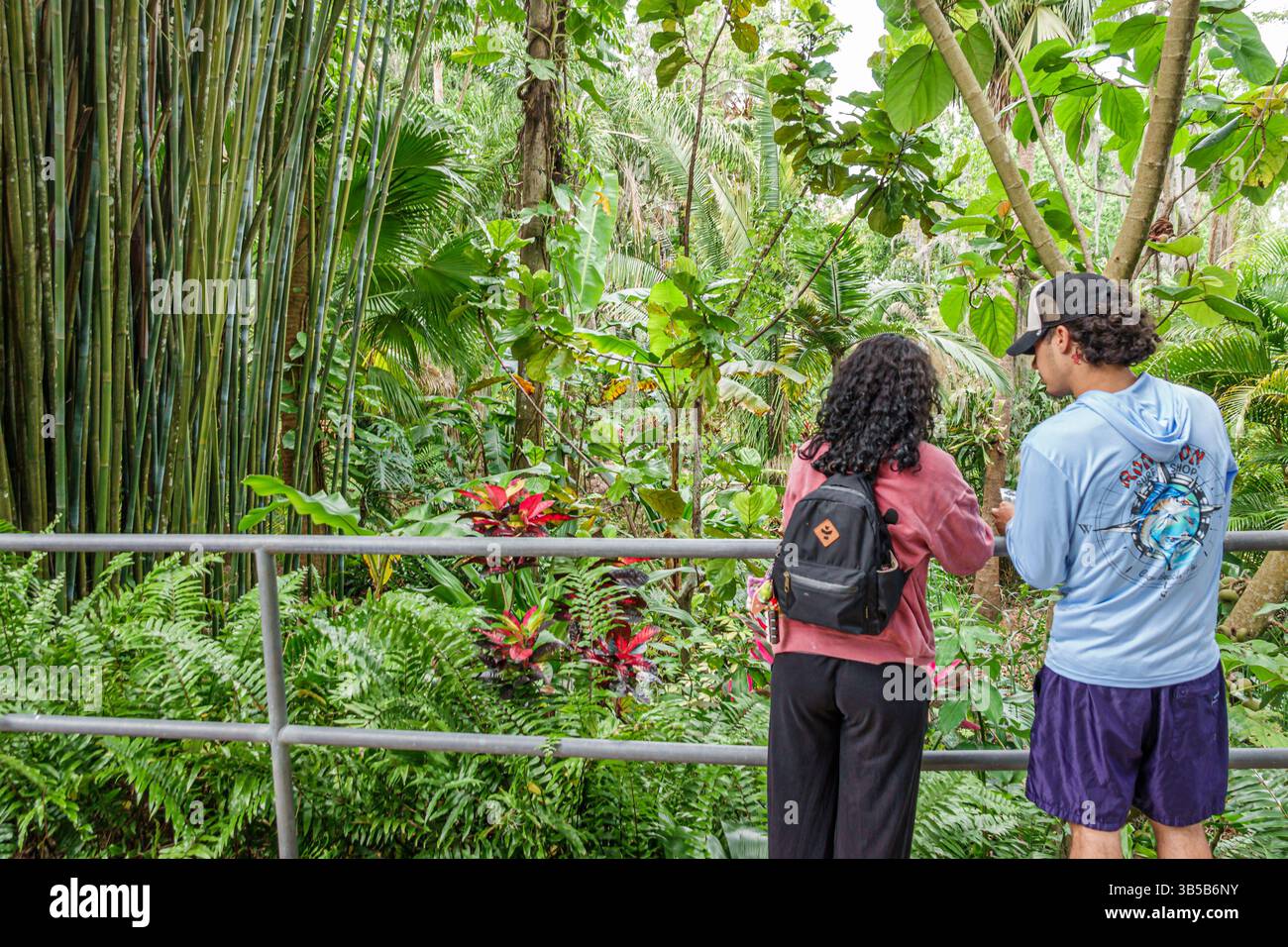 Orlando Florida,Harry P Leu Gardens,botanical garden,young adults man ...