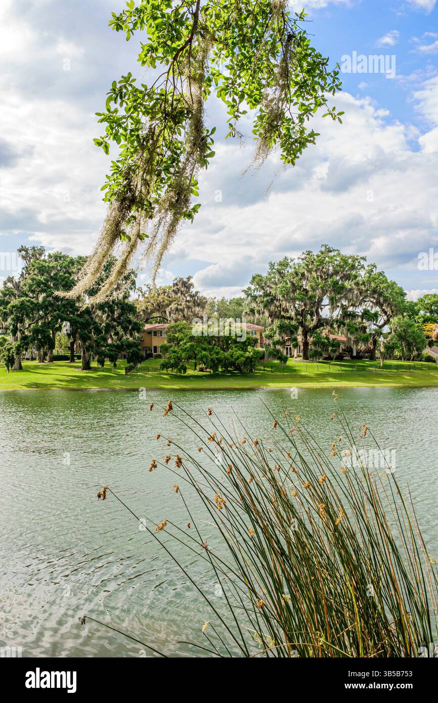 Overhanging tree hi-res stock photography and images - Alamy