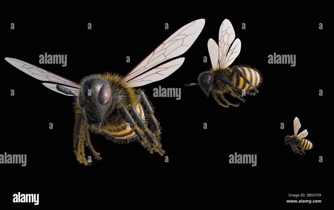 A 3d rendering of a honeybee, with its two sets of wings extended, The ...