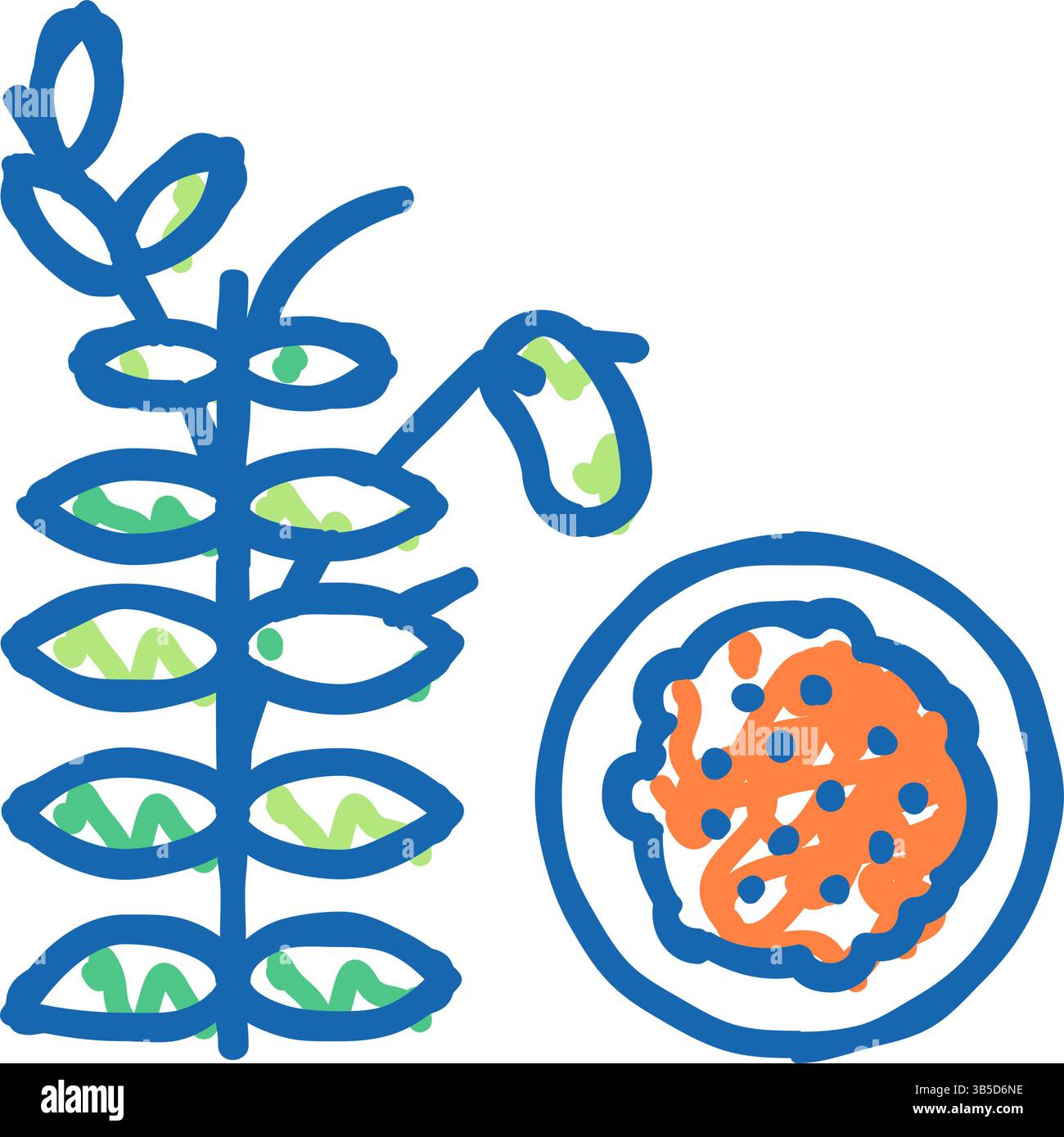 lentils groat icon doodle illustration Stock Vector Image & Art - Alamy