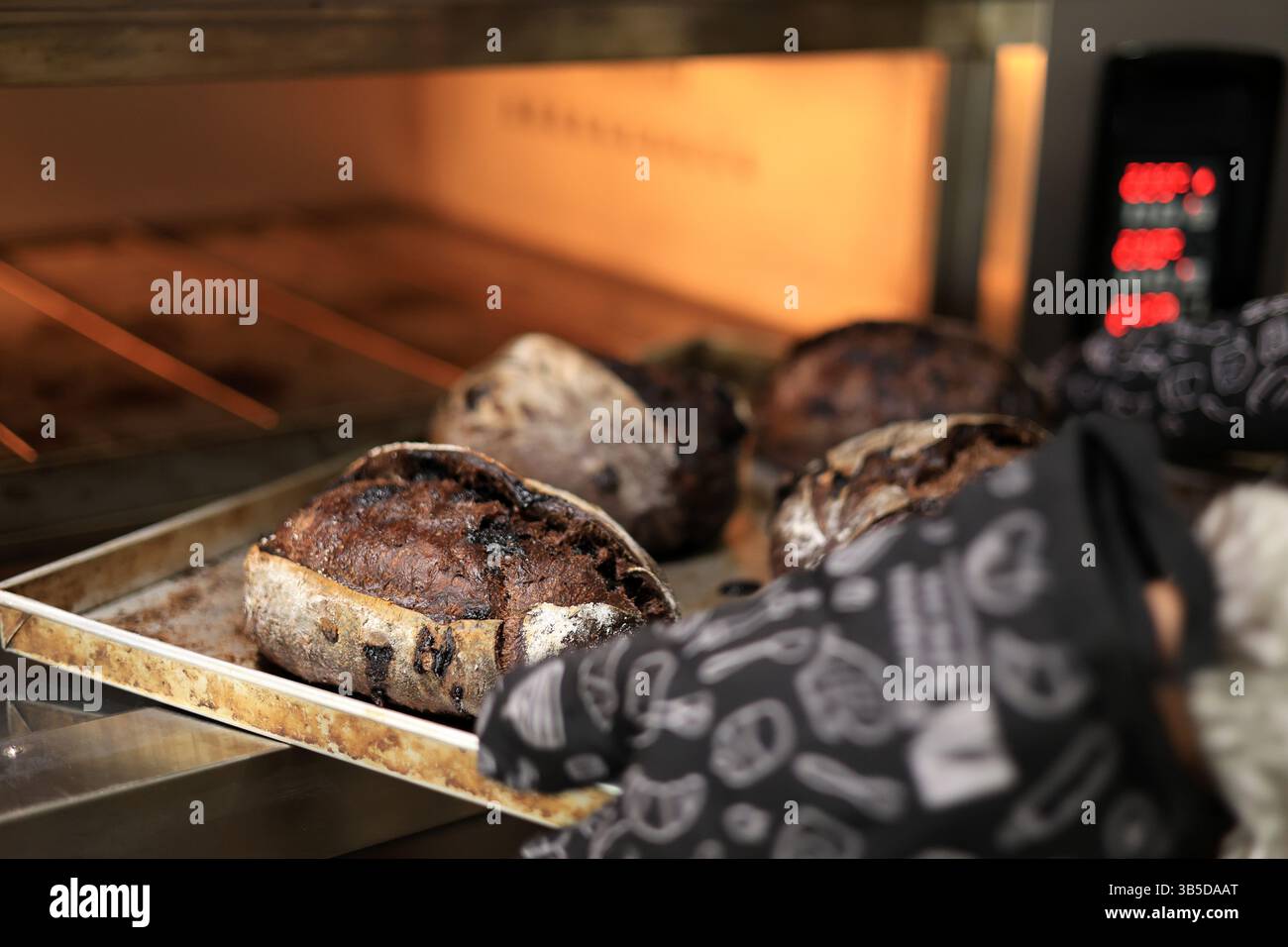 Close Up Professional Baker Removing Three Freshly Brownie Rustic Baked ...