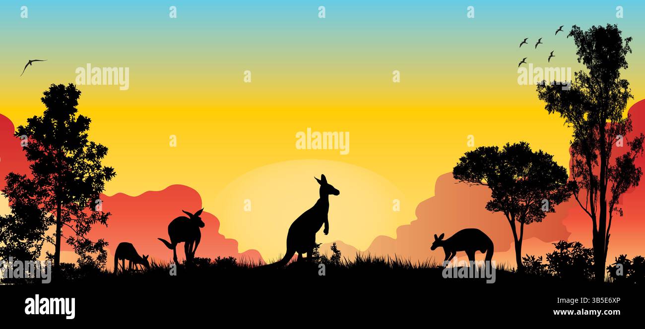 Kangaroo island trees in australia Stock Vector Images - Alamy