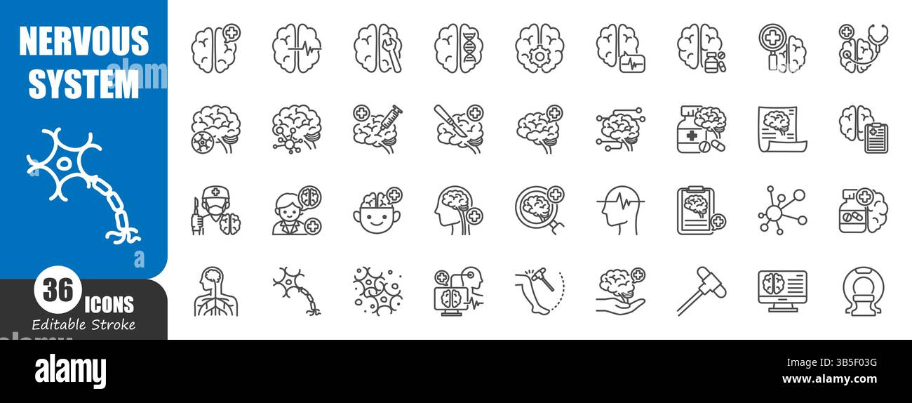 Nervous system . Medical outline icon . Editable stroke . Vector Stock ...