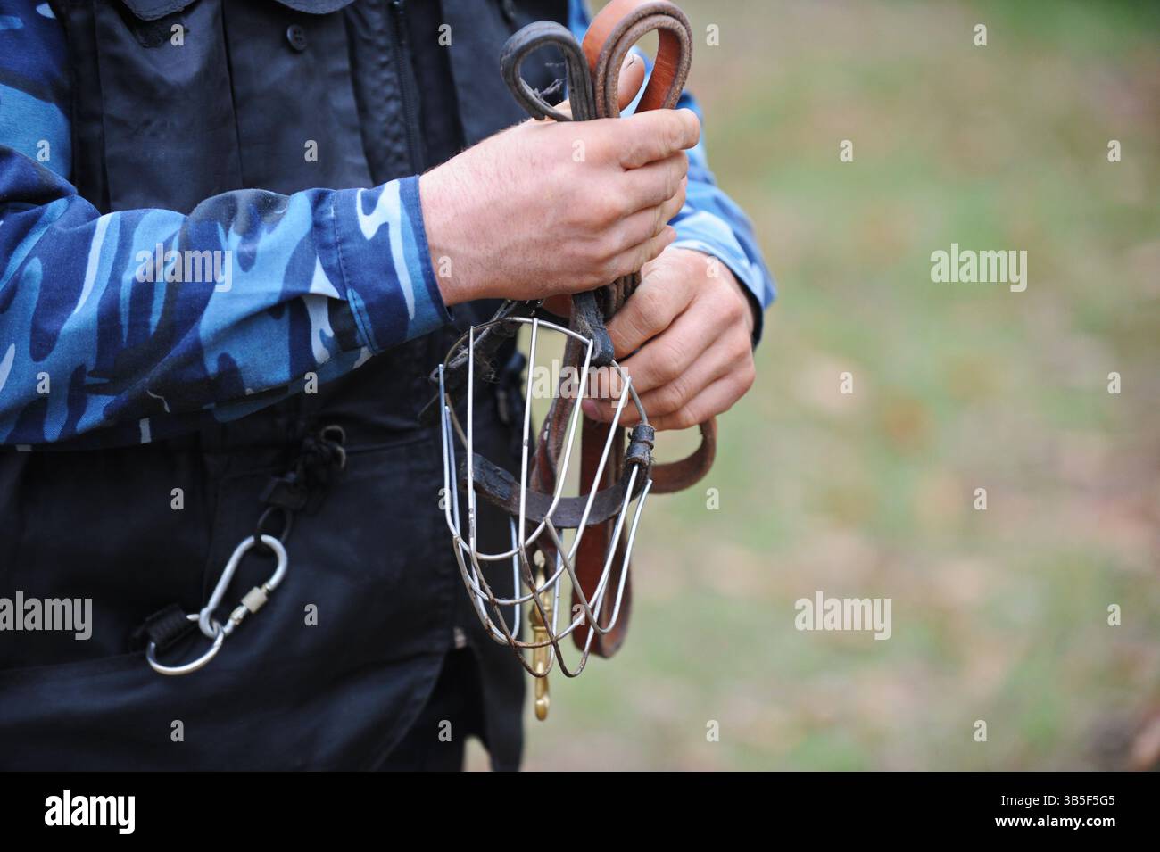 Training of service dogs for protection and execution of tasks Stock ...