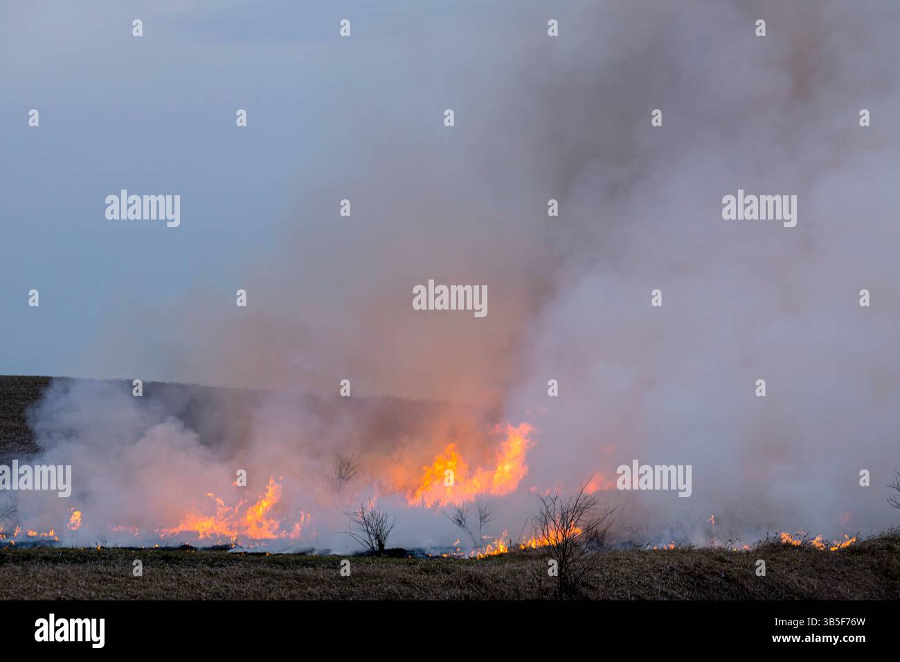 Sows weeds hi-res stock photography and images - Alamy