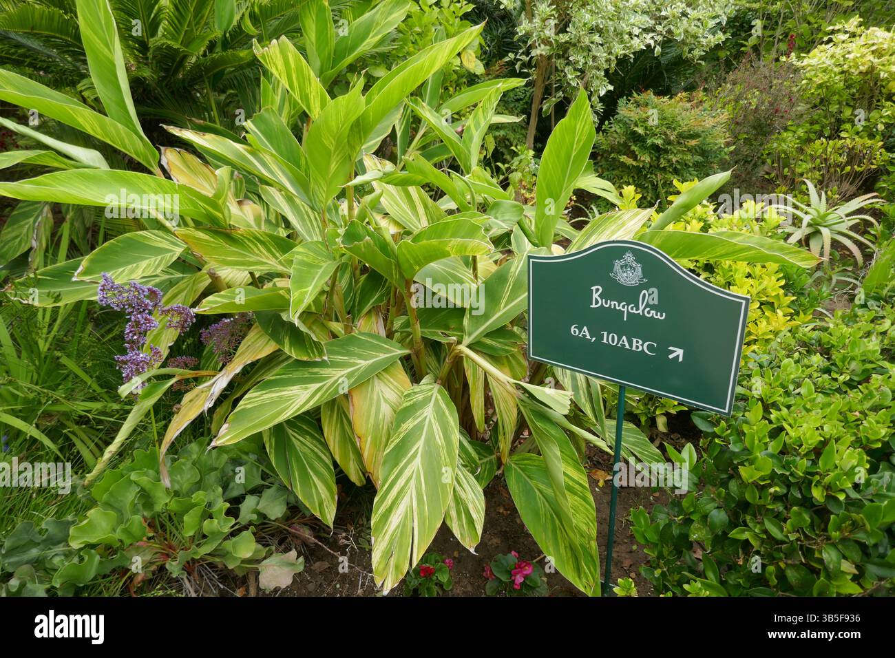Beverly Hills, California, USA 1st May 2025 Bungalows 6 & 10 at The ...