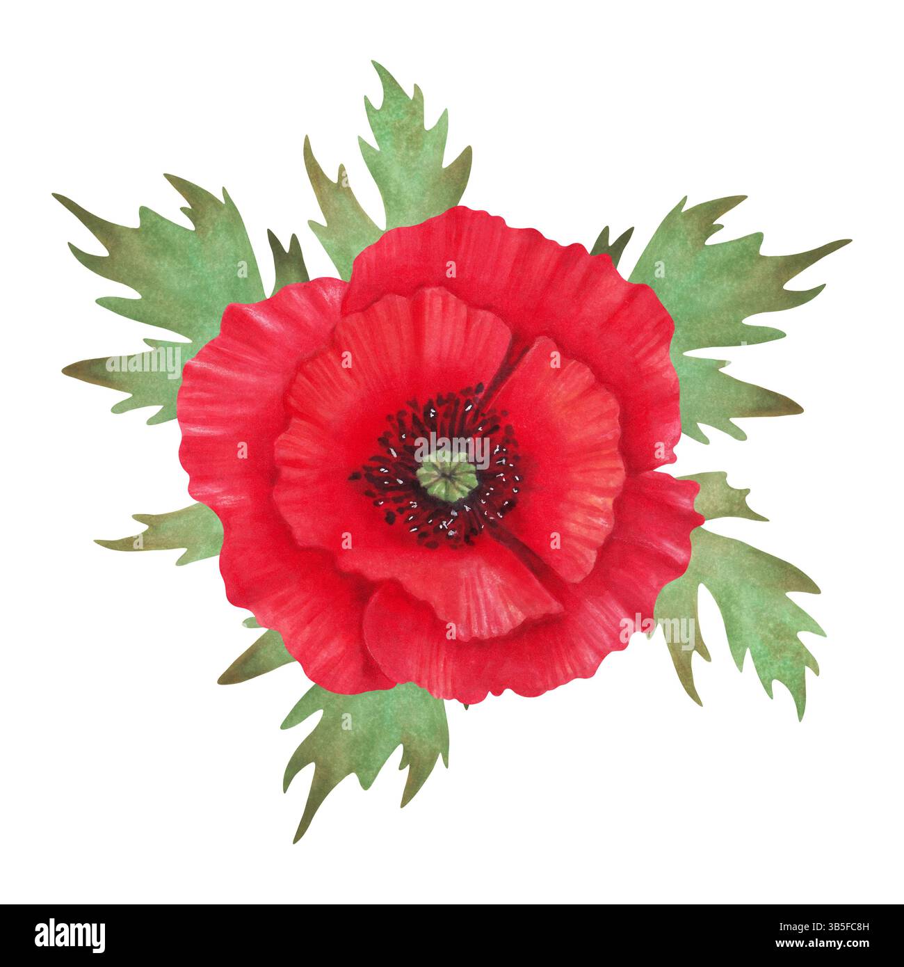 Poppy flower with petals. Watercolor and marker illustration. Poppy day ...