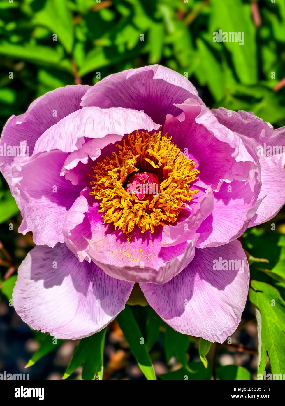 Time lapse dreams hi-res stock photography and images - Alamy