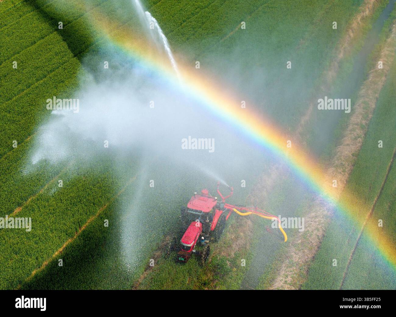 A worker irrigates the wheat land at Baimahu state-run farm in Huai'an ...
