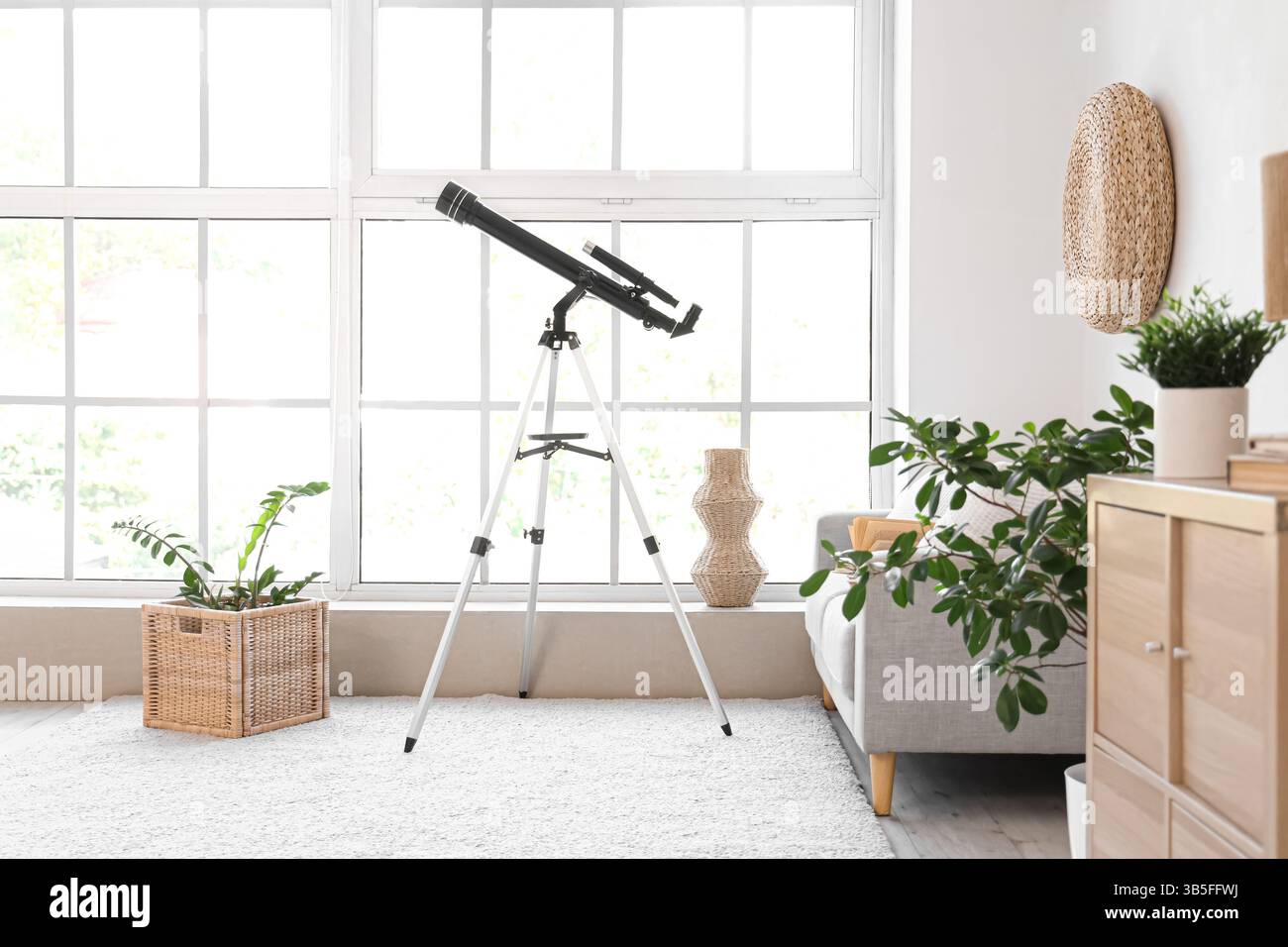 Interior of living room with modern telescope and houseplants Stock ...
