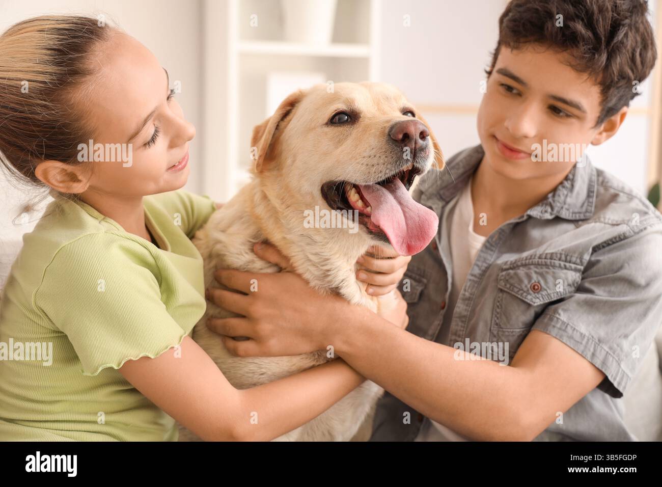 Happy sister and brother hugging cute Labrador dog at home Stock Photo ...