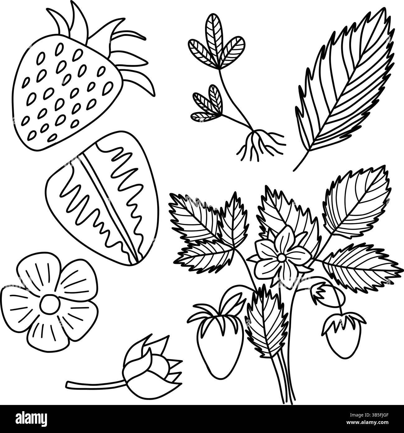 Fruits depicted Stock Vector Images - Alamy