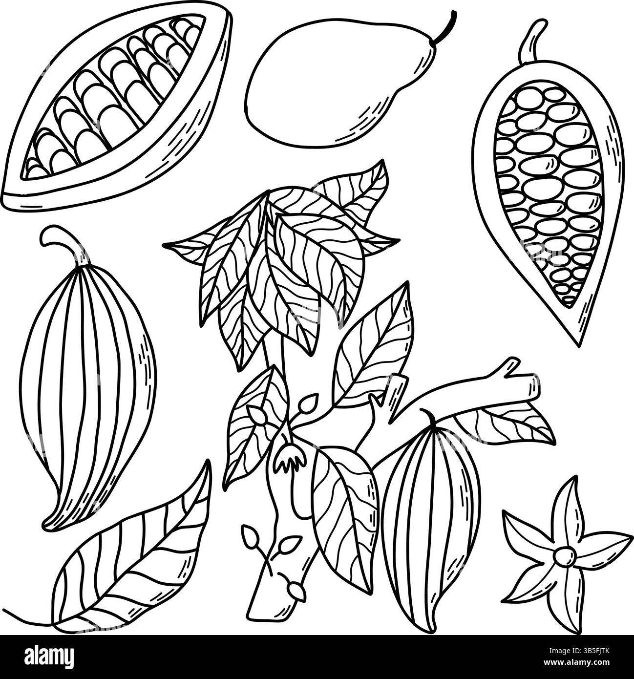 Cocoa tree with flowers Stock Vector Images - Alamy