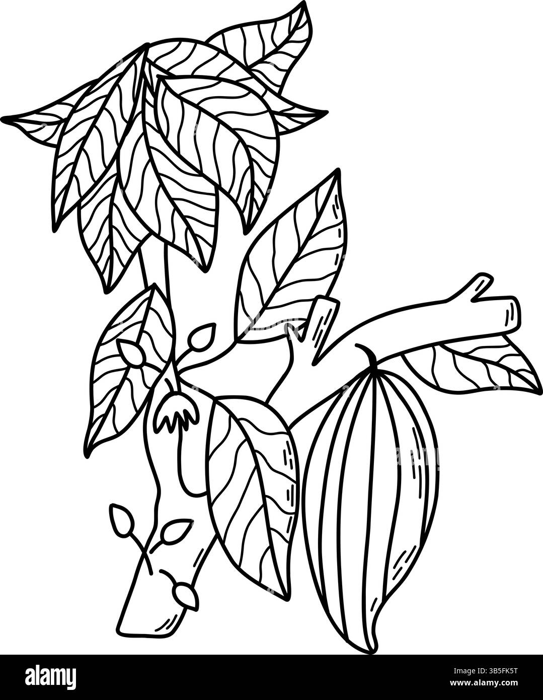 Illustration of a cocoa plant branch featuring line art leaves and ...