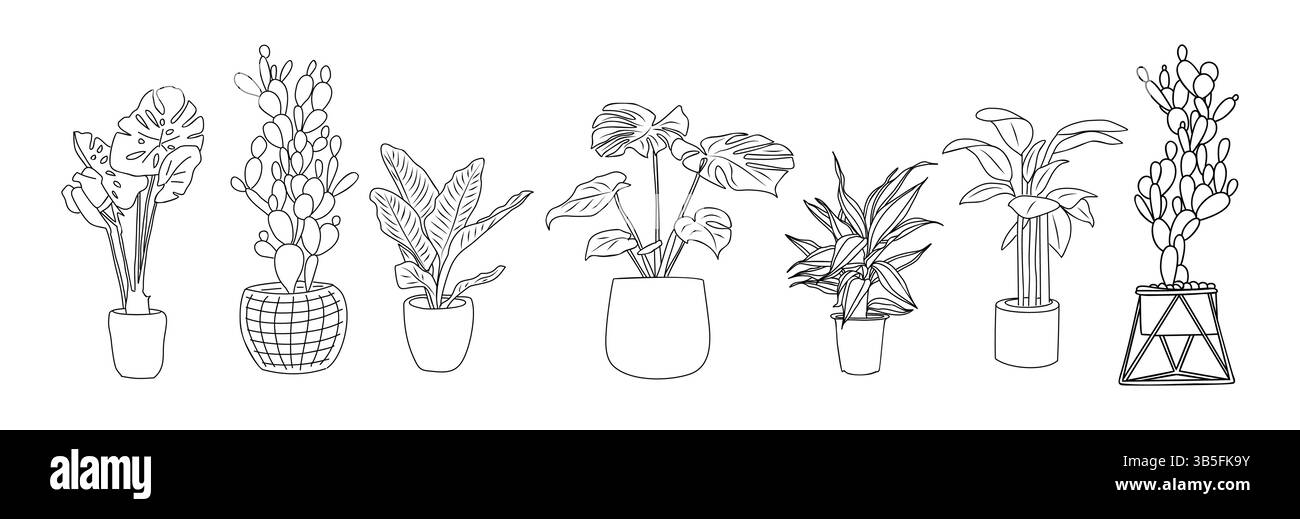 Set of House plants outline vector drawings Stock Vector Image & Art ...