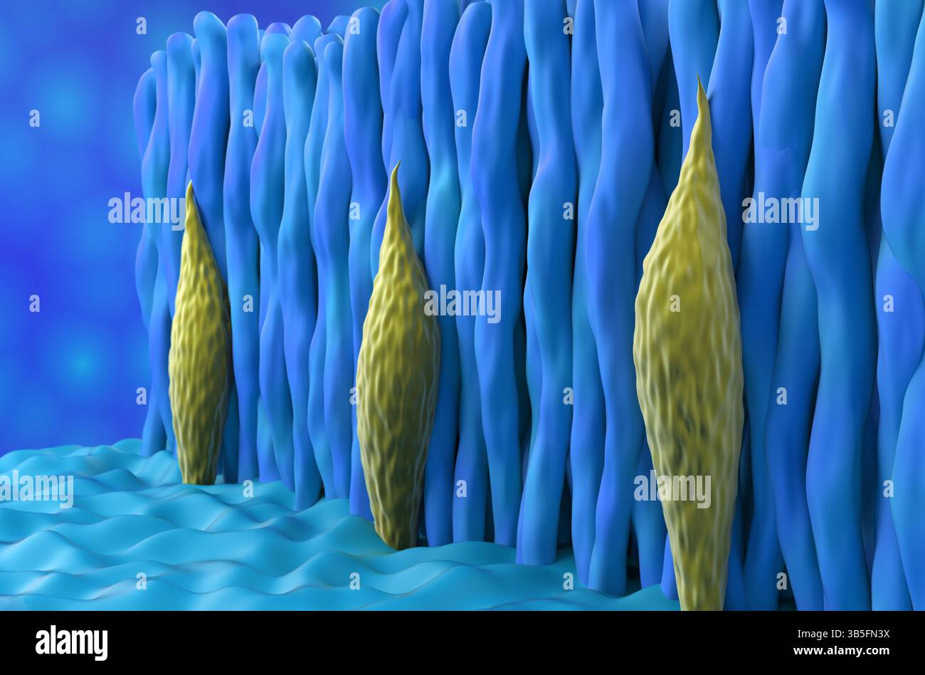 Retina photoreceptor (cone and rod cells) closeup view 3d illustration ...