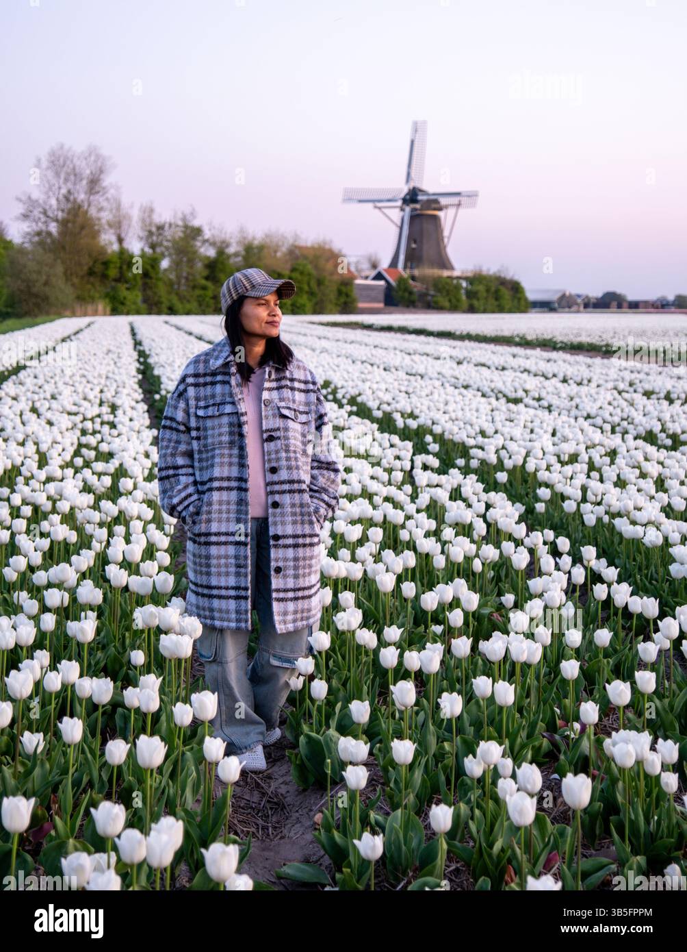 Explore the breathtaking beauty of tulip fields in the Netherlands ...