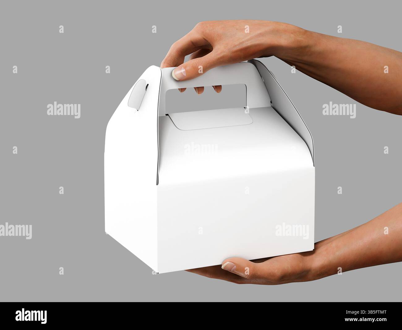White Blank Takeaway Box Mockup Held by Hands Stock Photo - Alamy
