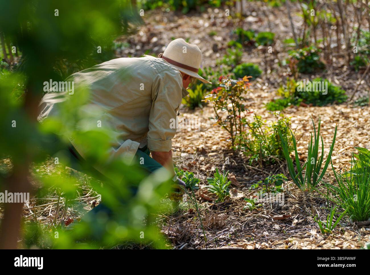 Gau Algesheim, Germany. 14th Apr, 2025. The agroforestry area at the ...