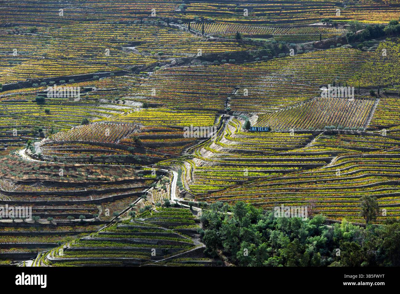 The Upper Douro Valley is one of Europe's oldest established wine ...