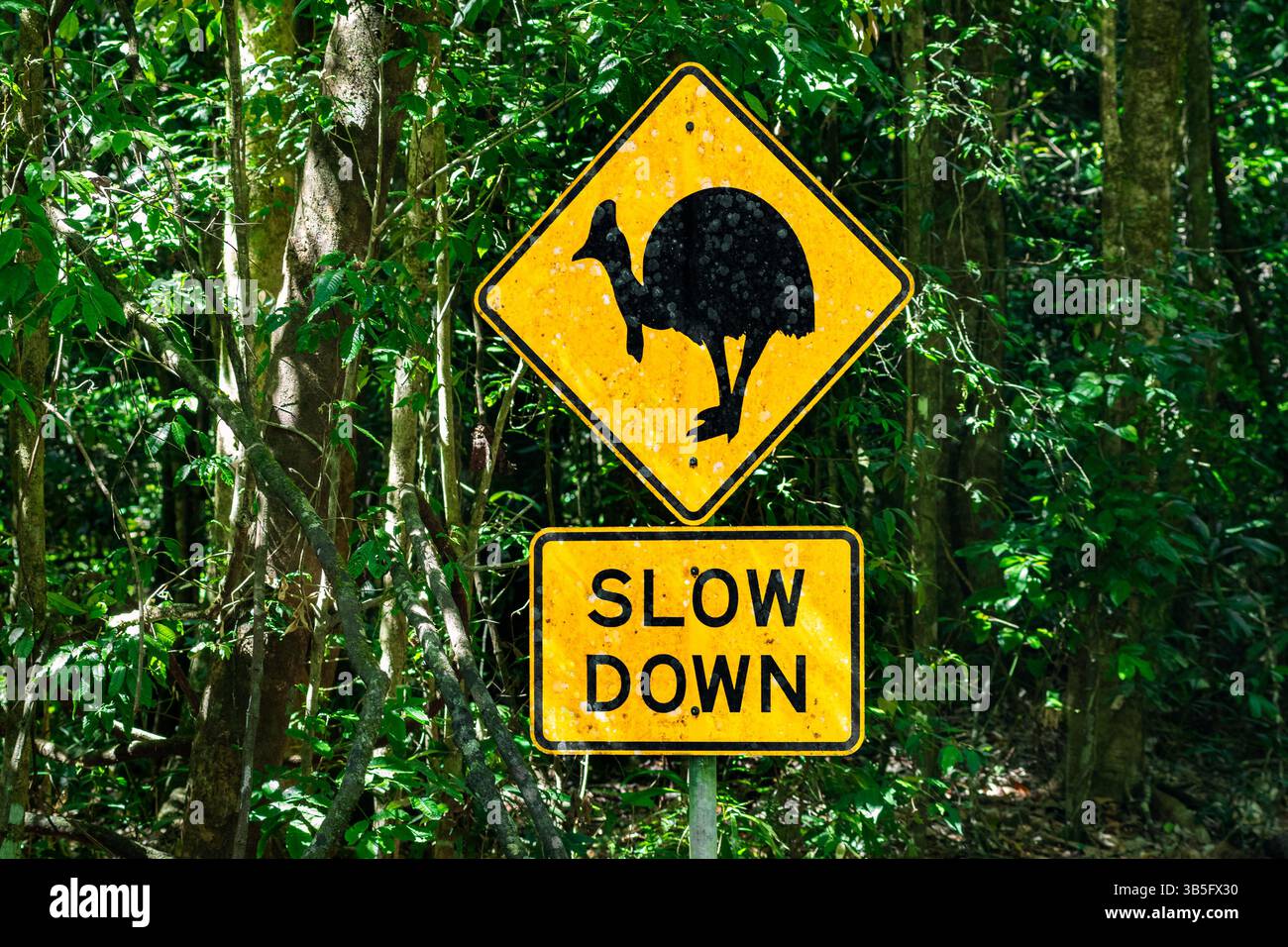 Cassowary caution sign hi-res stock photography and images - Alamy