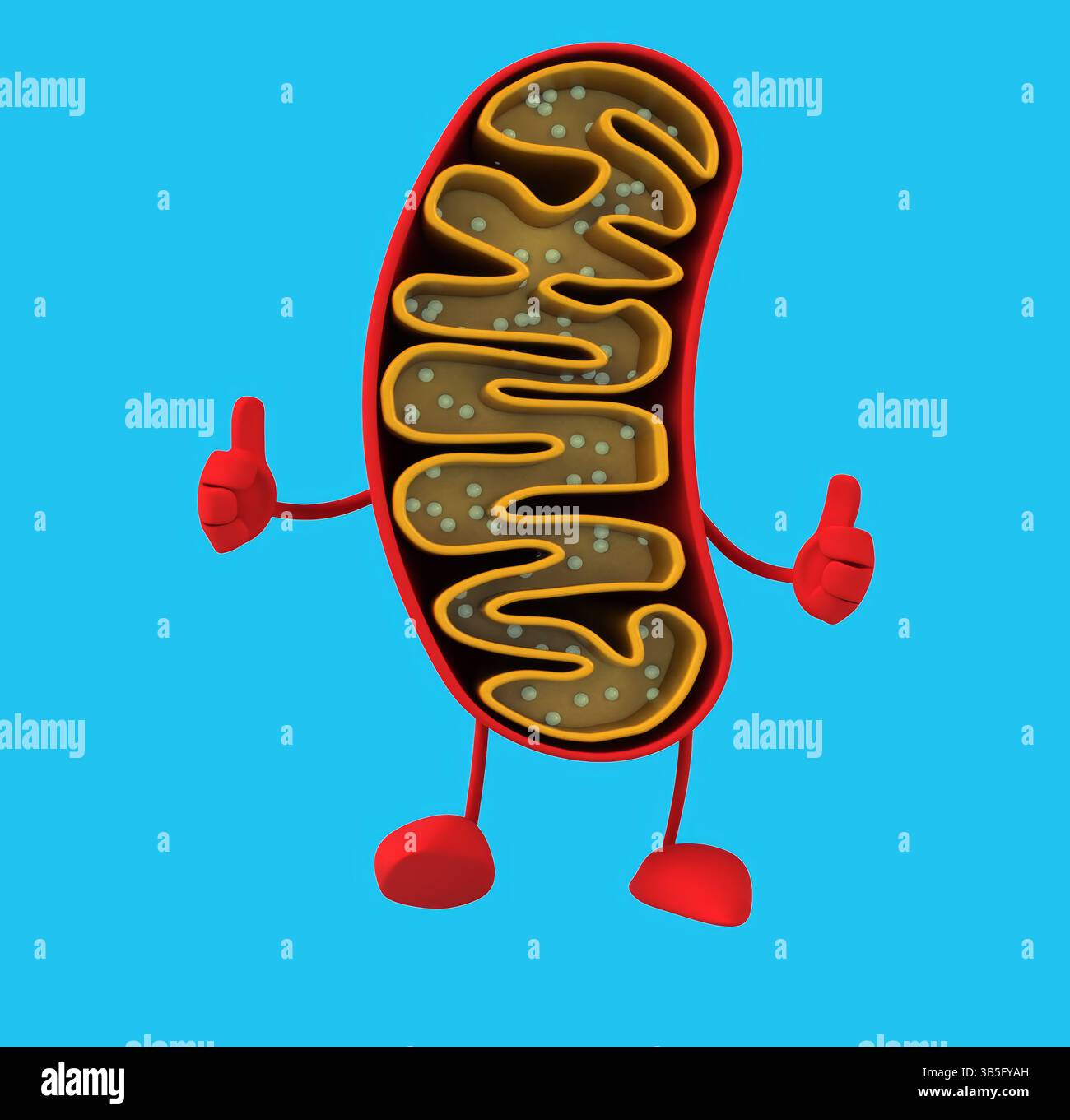 Fun 3D cartoon mitochondria Stock Photo - Alamy