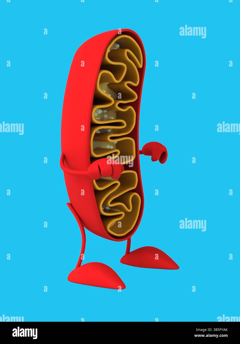 Mitochondria cartoon hi-res stock photography and images - Alamy