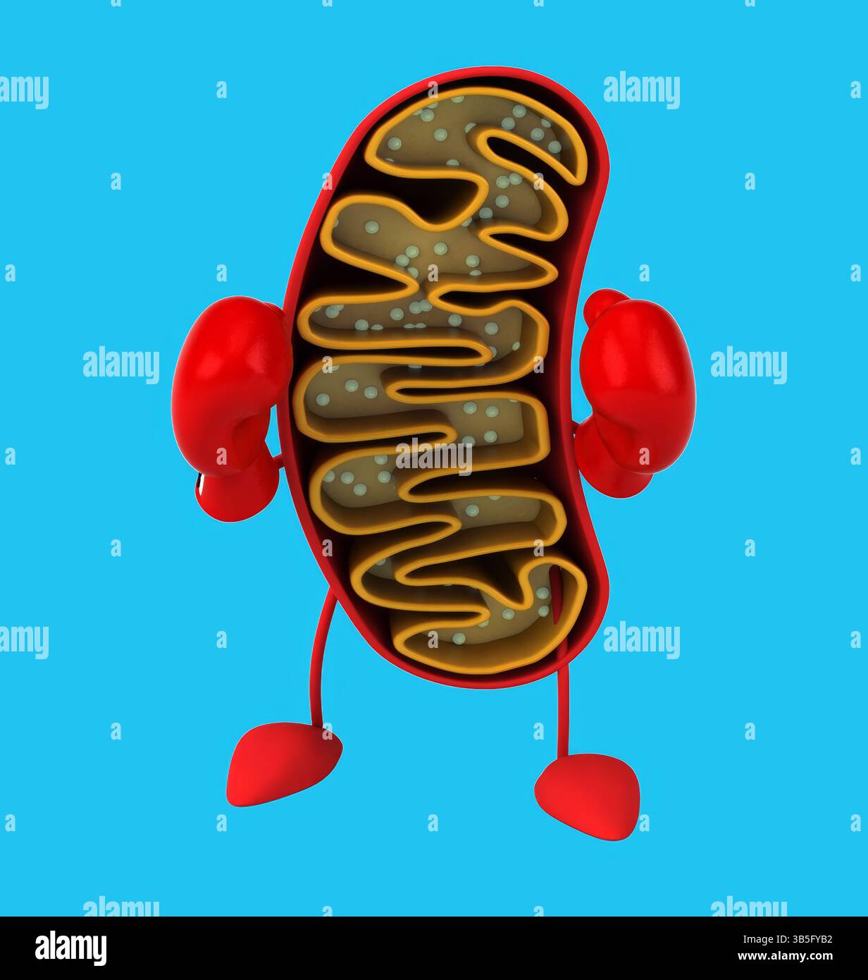 Fun 3D cartoon mitochondria Stock Photo - Alamy