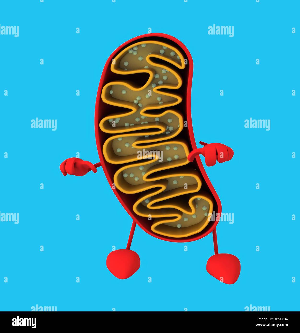 Fun 3D cartoon mitochondria Stock Photo - Alamy