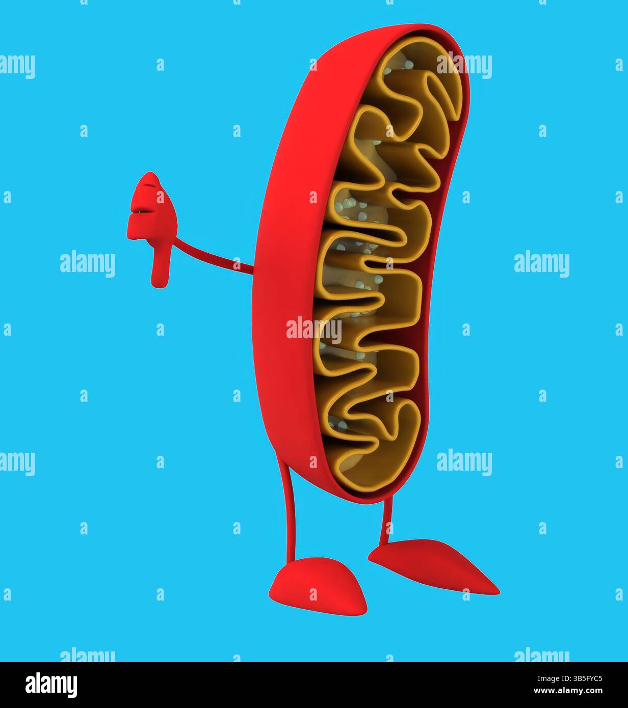 Mitochondria cartoon hi-res stock photography and images - Alamy