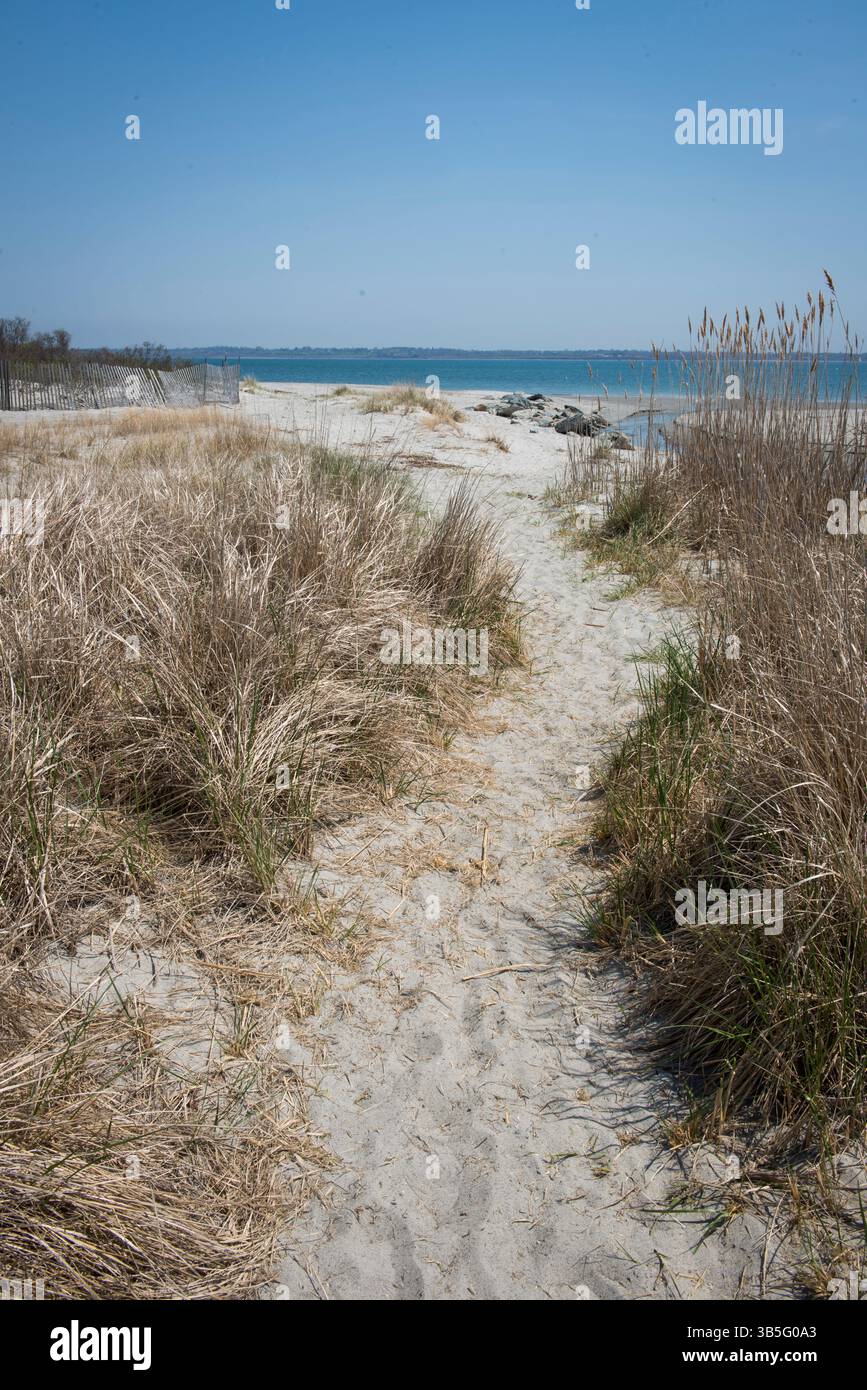 Sandy Trail Through Dune Grass to a Peaceful Ocean View Stock Photo - Alamy