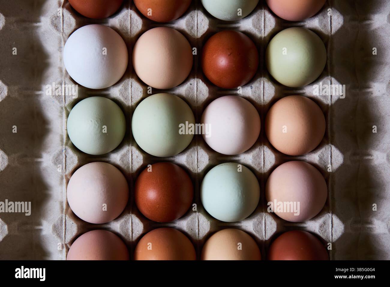 Real farm chicken eggs hi-res stock photography and images - Alamy