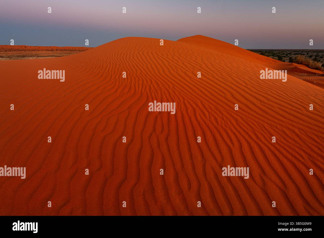 Like a natural artwork rise the red sand dunes of Simpson Desert from ...