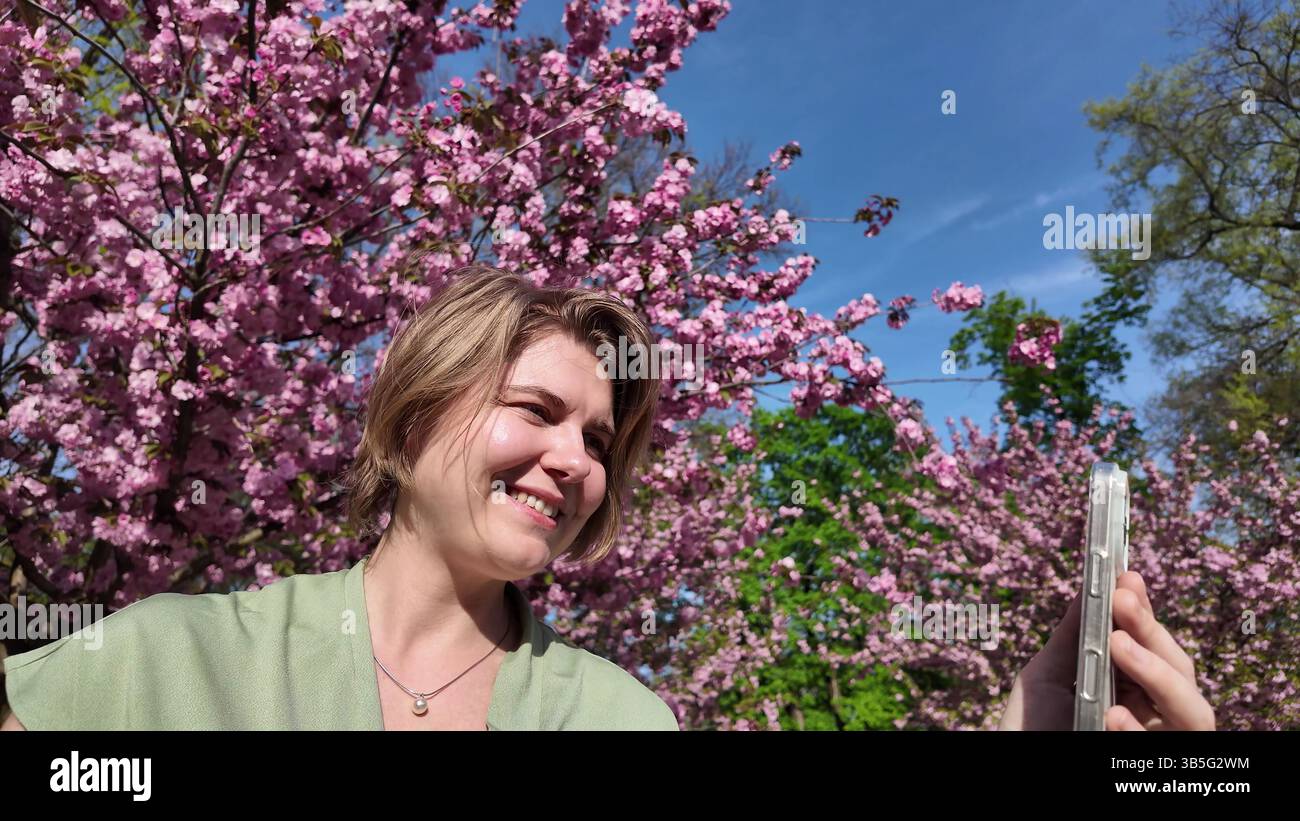 Woman taking a selfie under blooming cherry blossom trees Stock Photo ...